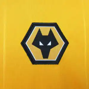 The Newkits | Buy Wolverhampton 23/24 Home Kit | Football kit